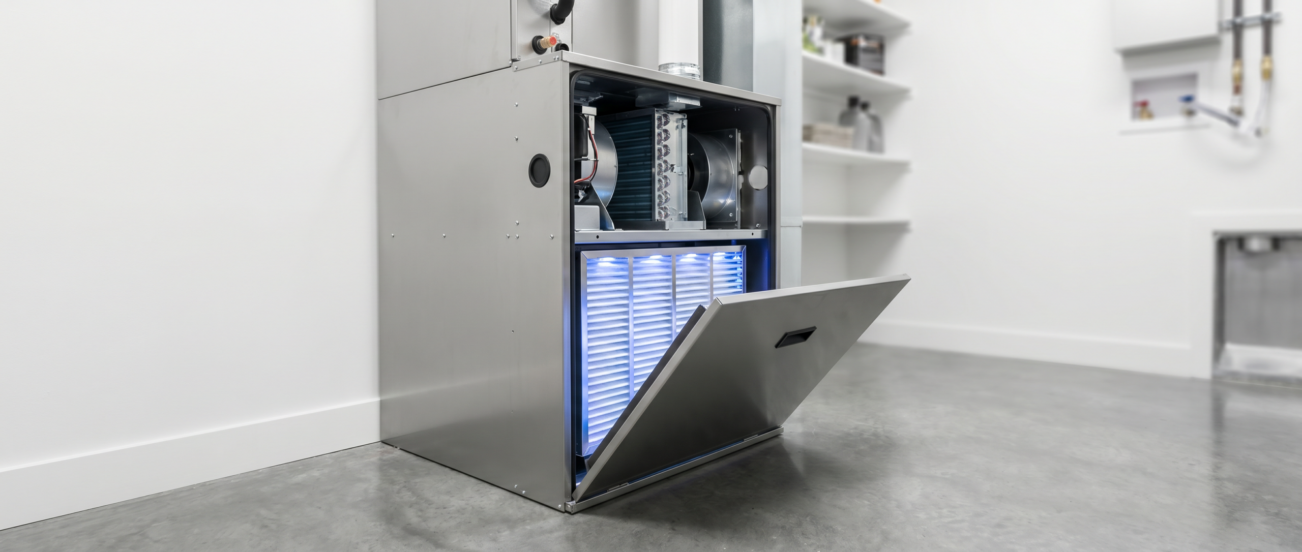 Mold Prevention Air Handling Johns Island: Lowcountry Moisture Guide ...